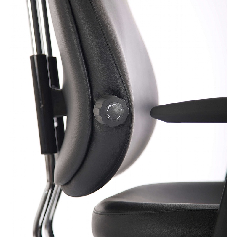 Chiro Plus Ultimate Leather Posture Office Chair from our Executive ...