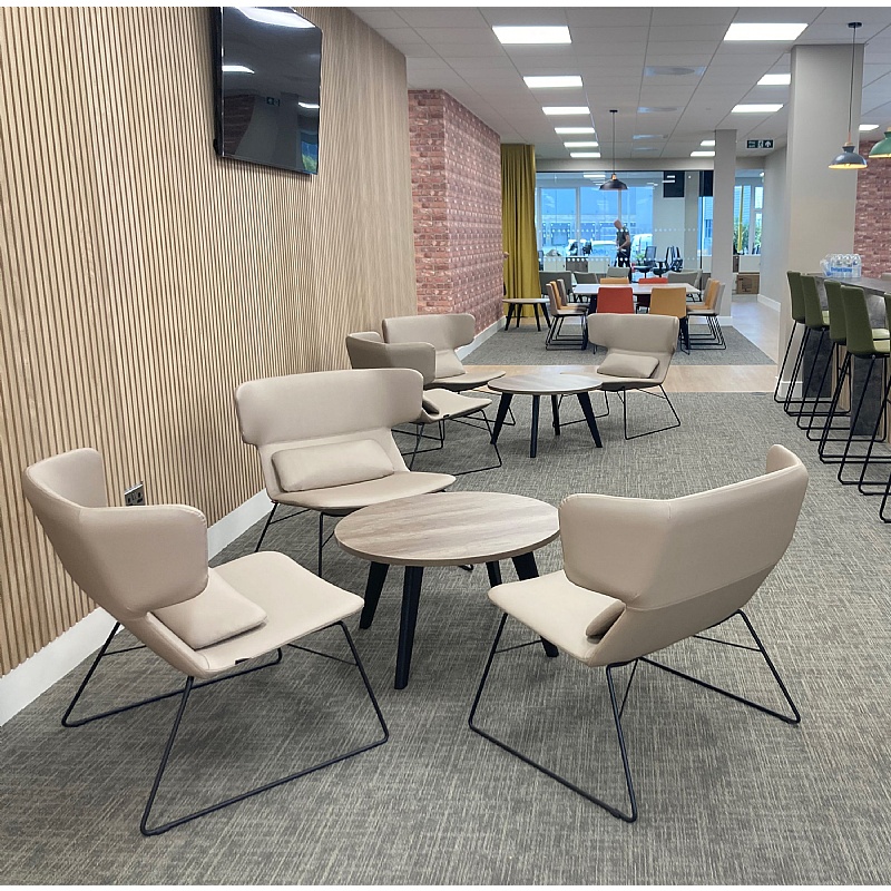 Levato Medium Back Sled Base Lounge and Breakout Chairs from our ...