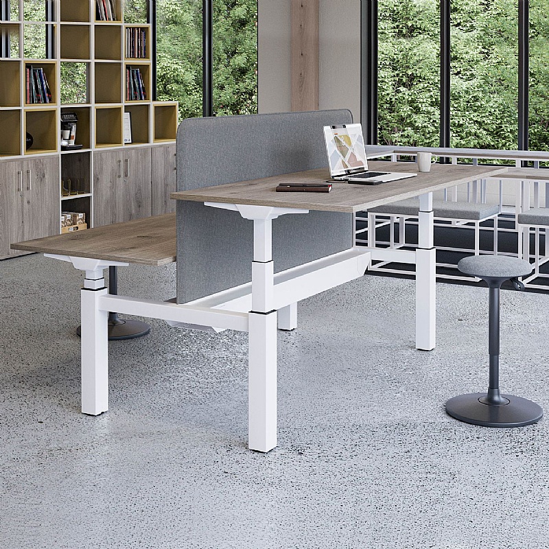 Flow Plus Sit Stand Back to Back Rectangular Desktop Screens from our ...