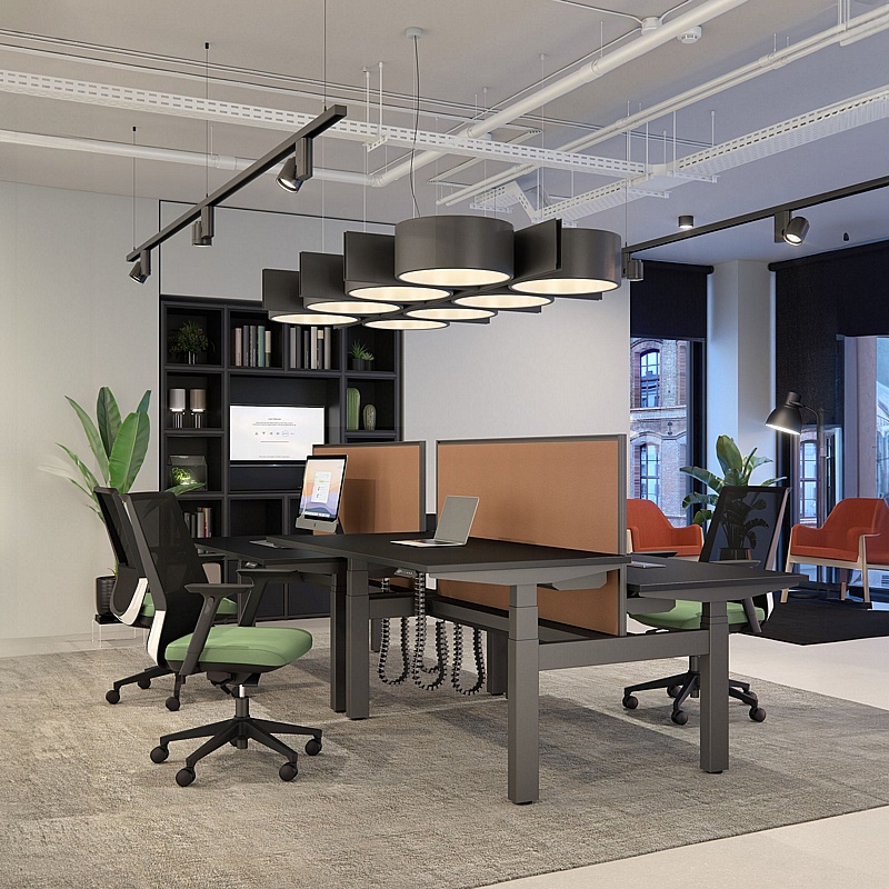 Progress Plus Electric Height Adjustable 2 Person Rectangular Back to ...