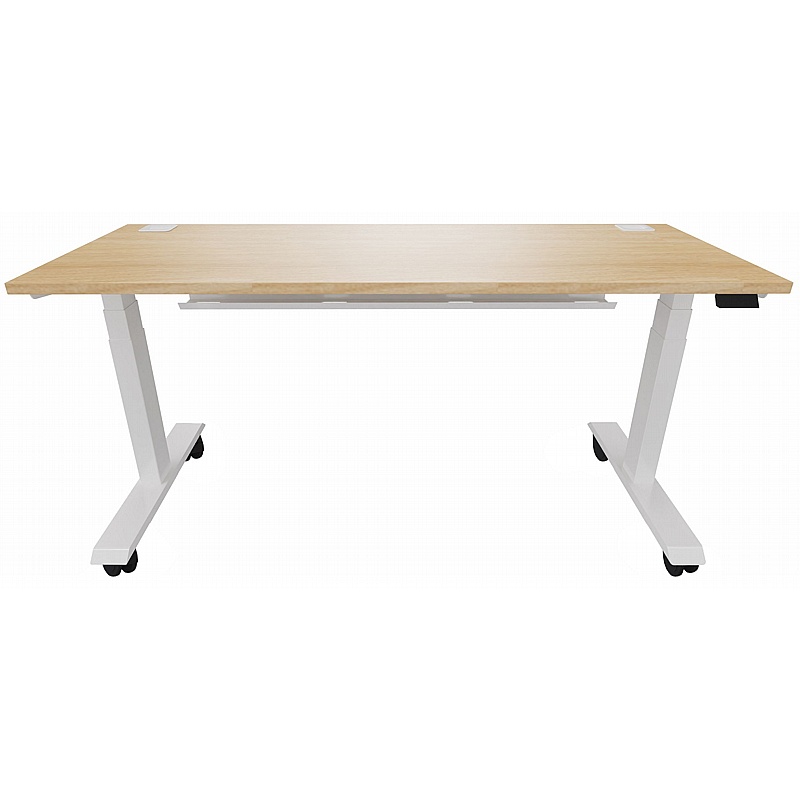 Progress Plus Electric Height Adjustable Mobile Shallow Rectangular ...